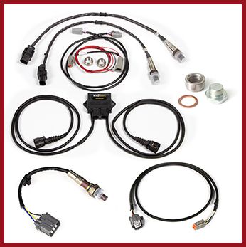 Haltech Wideband Controllers – T.I. Performance