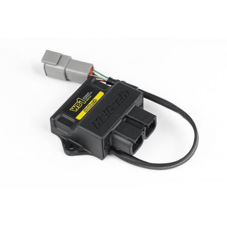 WB1 NTK – Single Channel CAN O2 Wideband Controller Kit 1.2M (4ft) – T ...