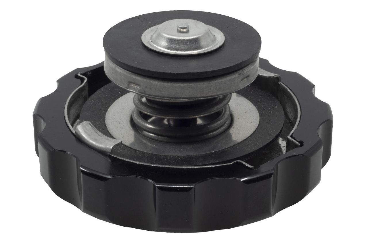 Raceworks Large Radiator Cover And 1.1Bar Cap Black – T.I. Performance