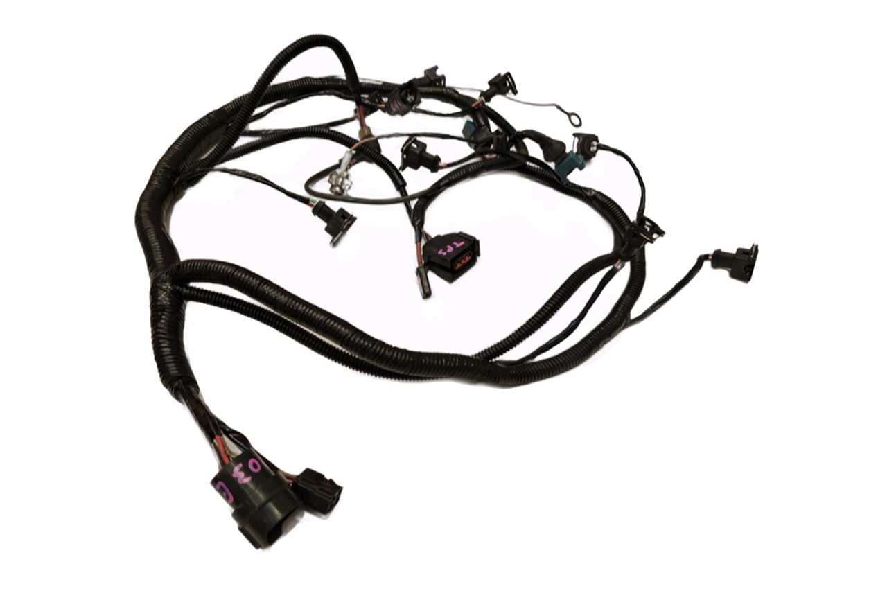 EA EB ED EL XG XH Falcon Windsor V8 6 Cylinder ECU Conversion Loom – T ...